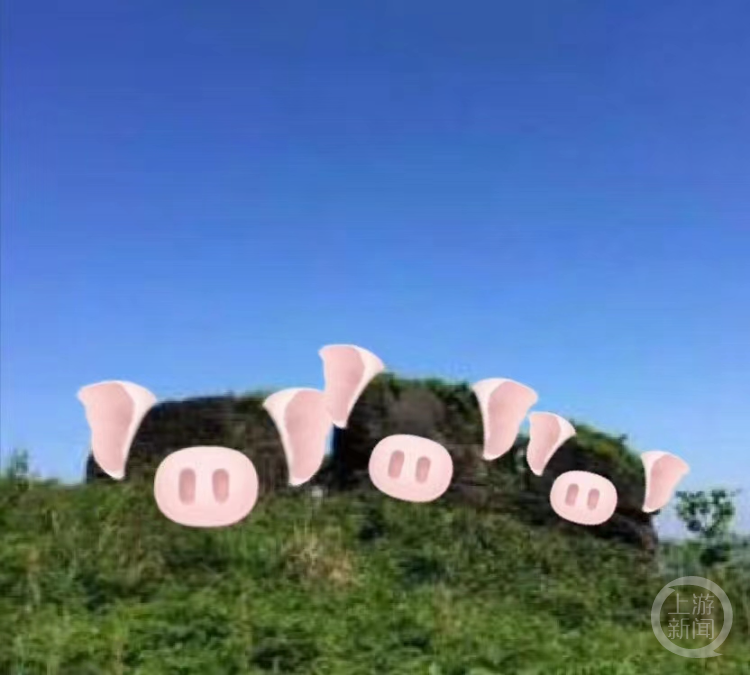 贵州遵义一地名叫“三个猪儿”，当地回应：山顶上有三块像猪的大石头