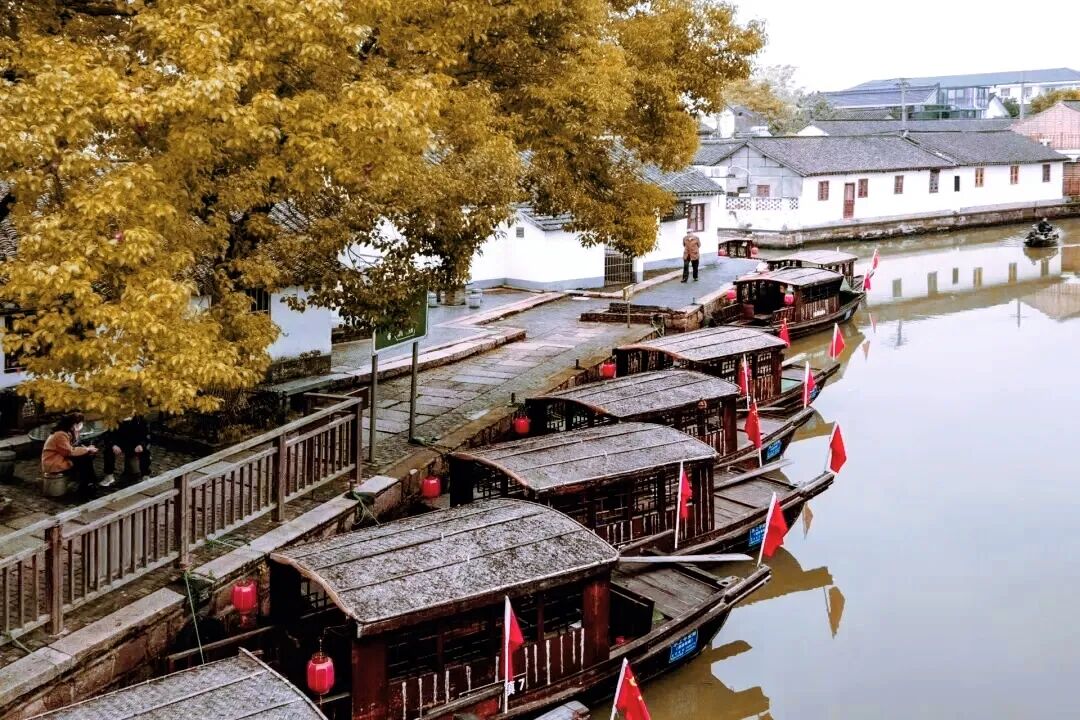 青浦：风景绝佳！跟着这条亲水线路一起骑行去→