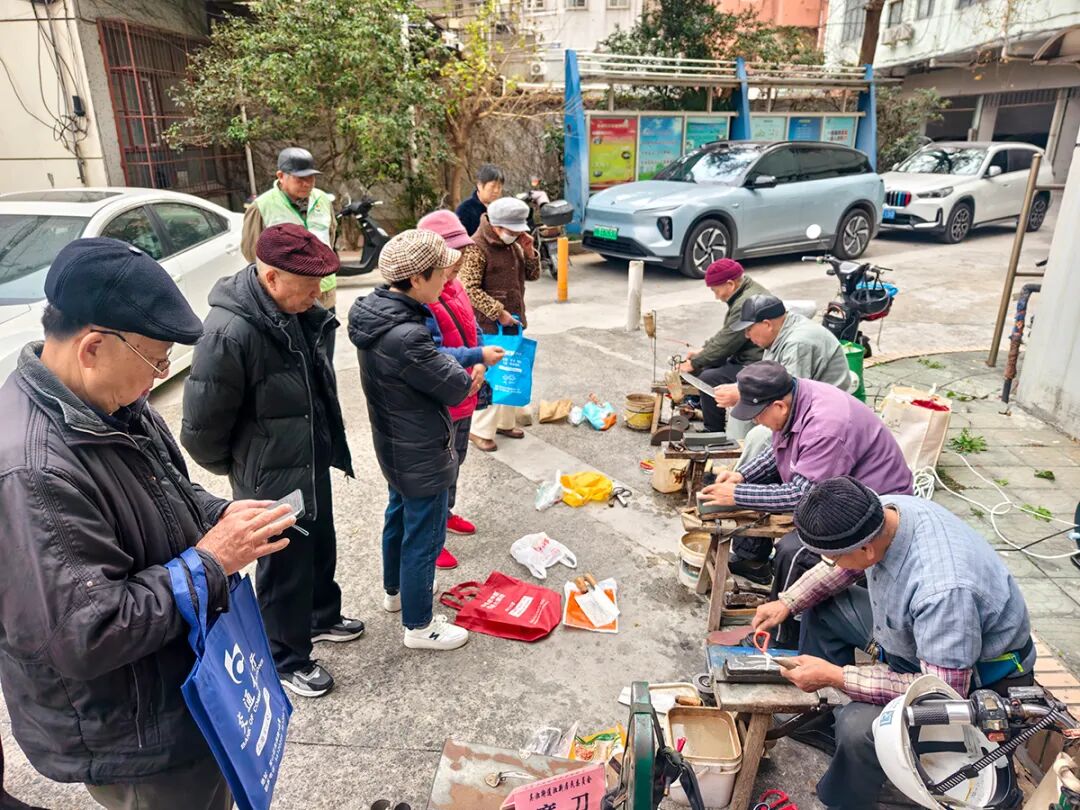 从“树挡光”到“福满院”，一起看看淞新居民区的民生“变形记”
